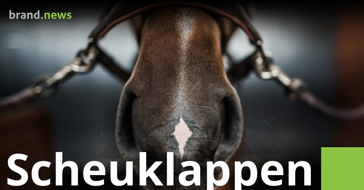 Scheuklappen - brandHUB | Ralph Hubacher