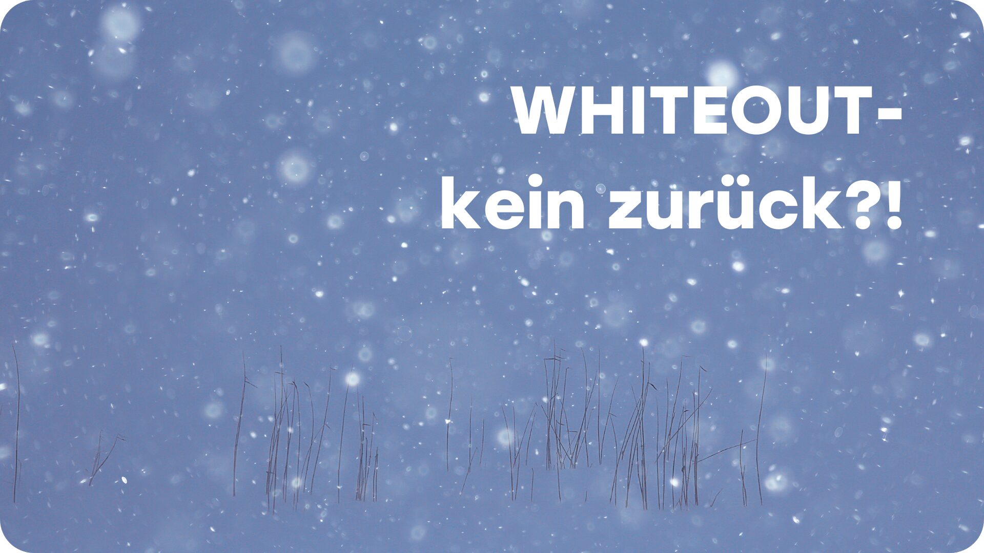 Whiteout - kein zurück!?