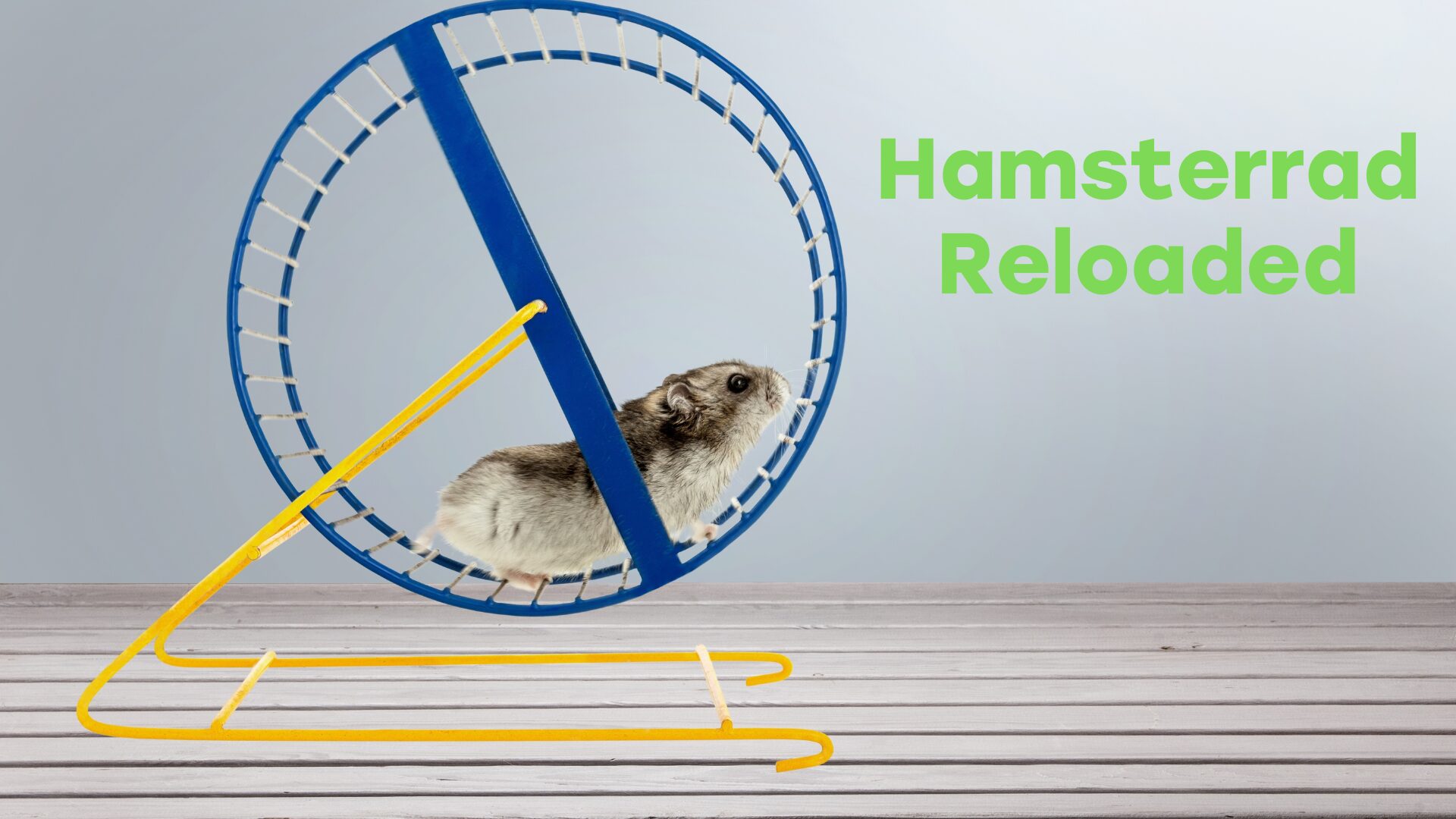 Hamsterrad reloaded